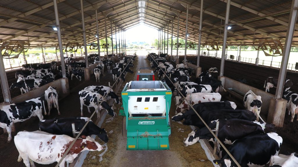 Entenda a importância de investir em Compost Barn » Casale