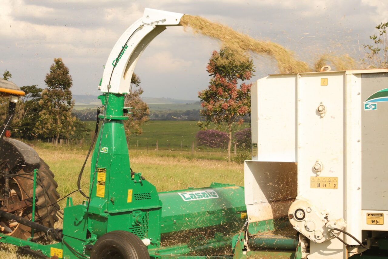 Forragem na pecuária: como manter a produção e a colheita eficientes?